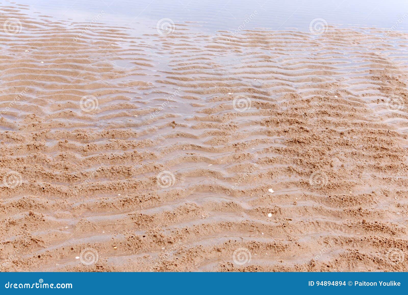 Ripple sand in nature stock photo. Image of sunny, nature - 94894894