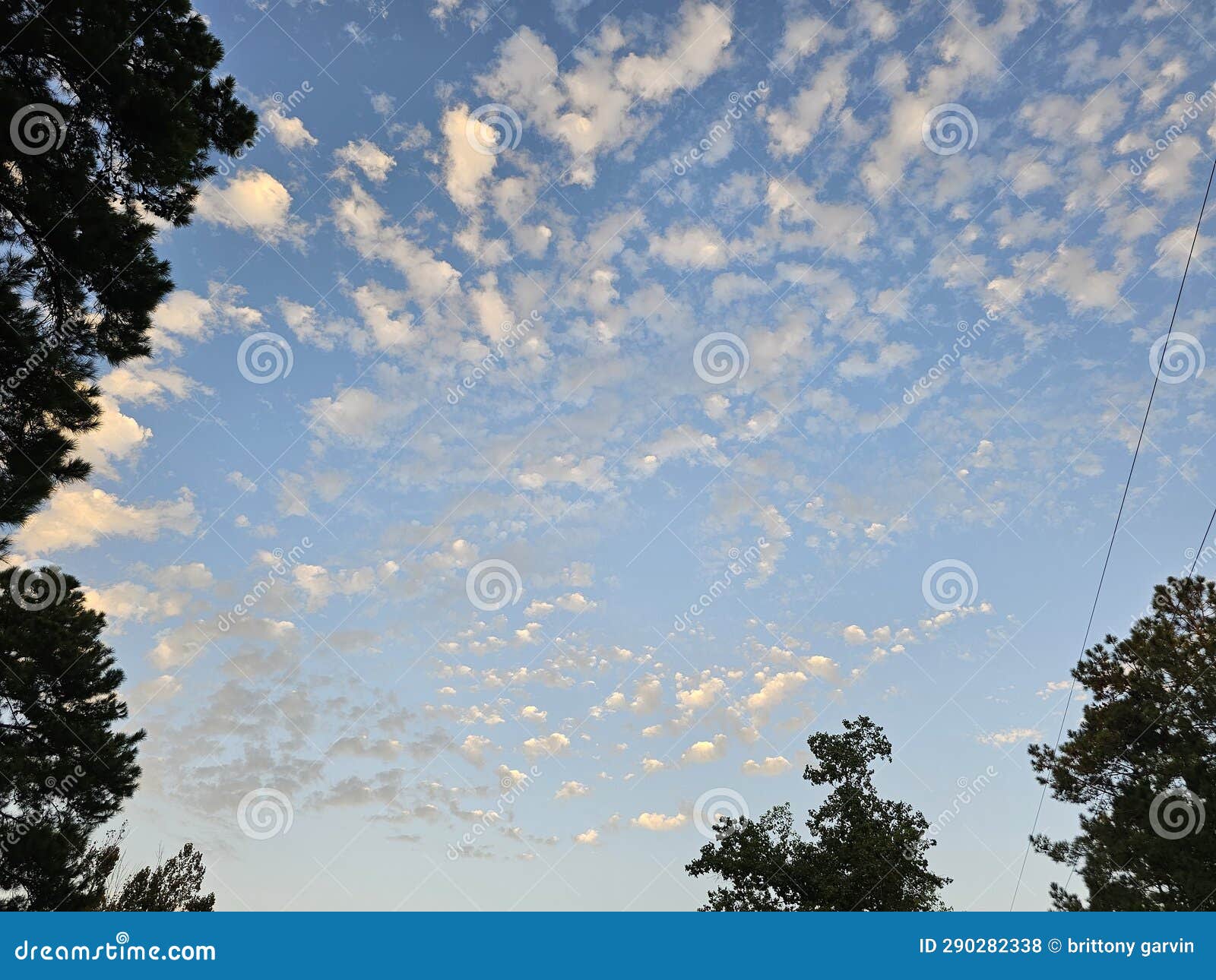 Ripple sky clouds trees stock photo. Image of clouds - 290282338