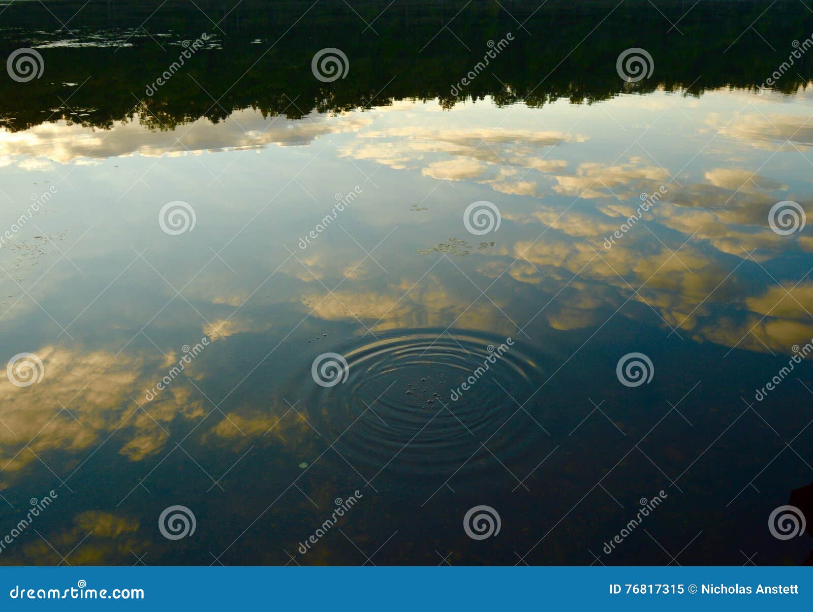 Ripple stock image. Image of small, waters, ripple, fish - 76817315