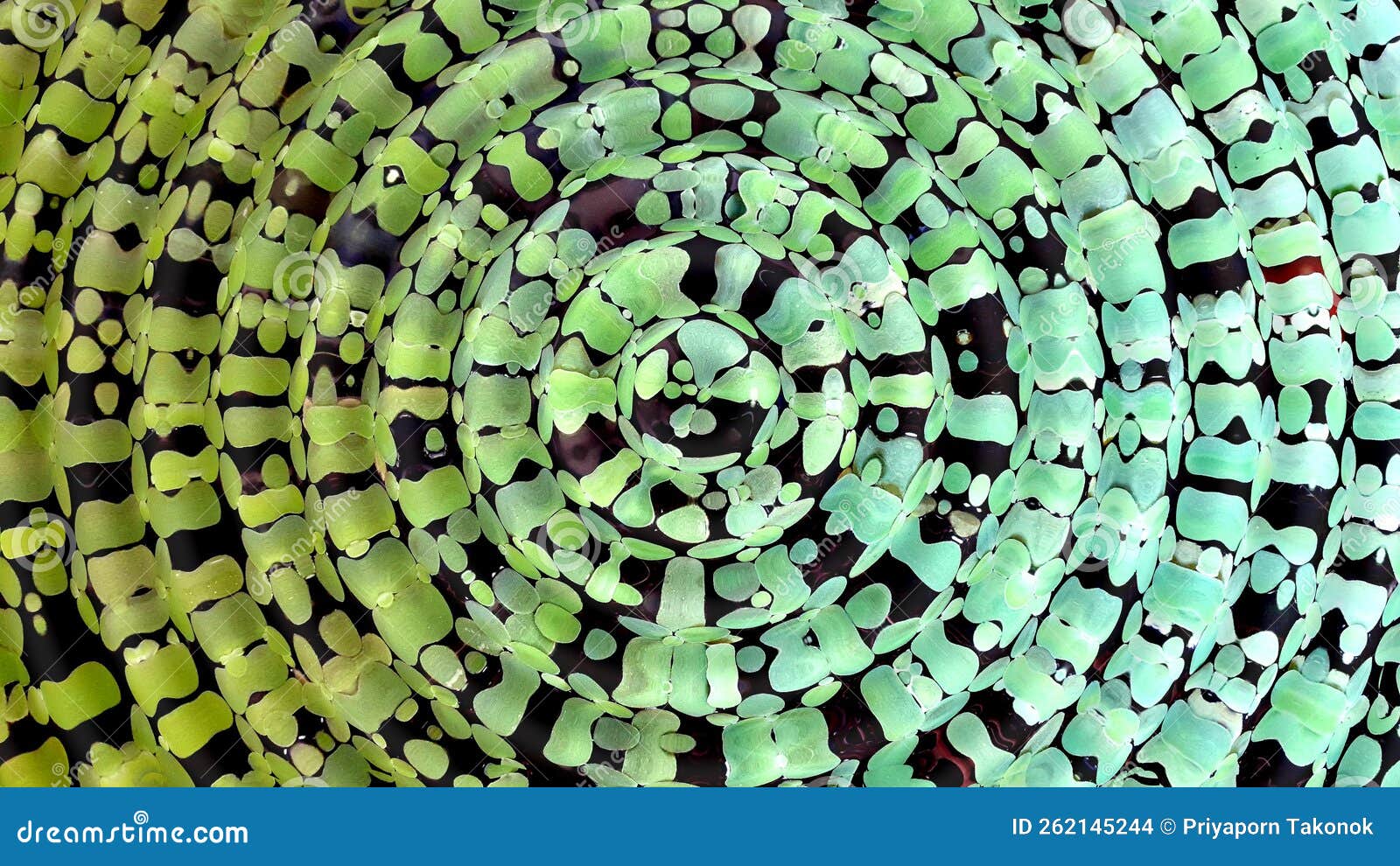 Ripple Special Effect, with Creative Wave Abstract Green Texture ...