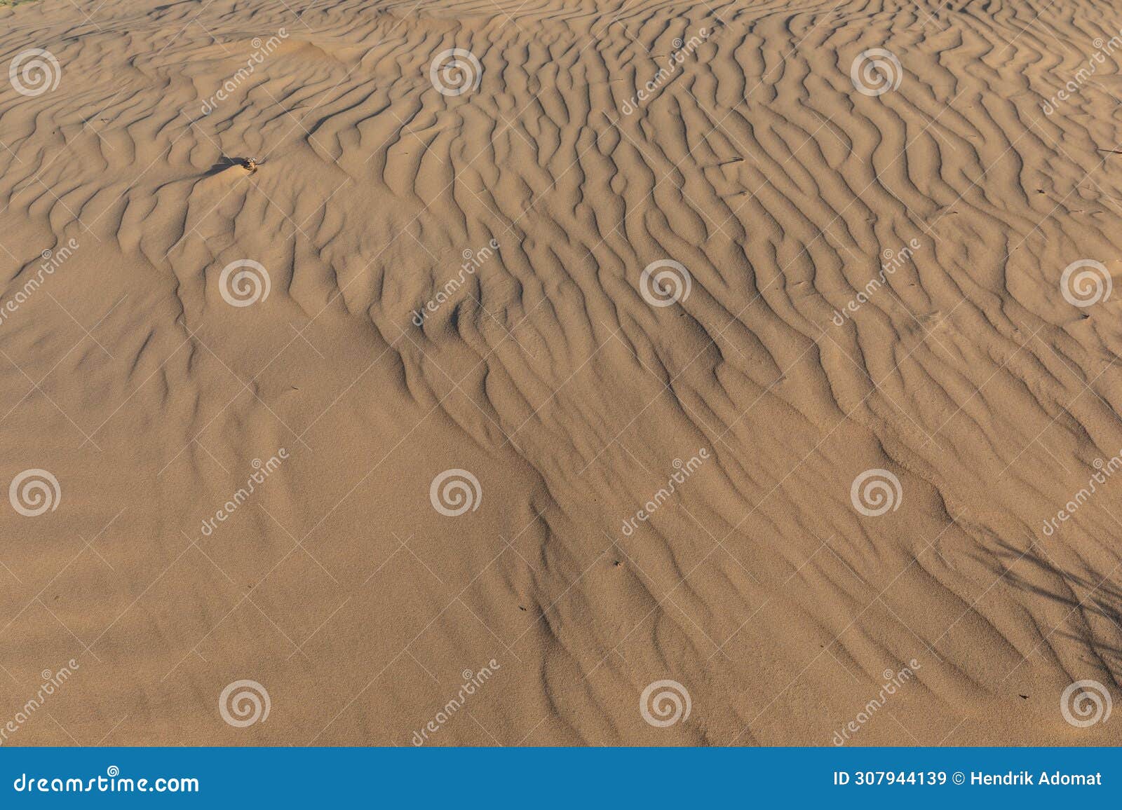 The Ripple Structure of Sand in the Gobi Desert of Mongolia. Stock ...