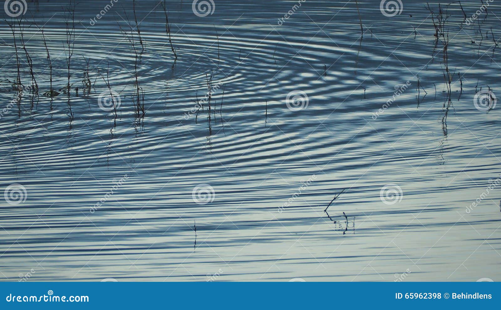 Ripple on the Surface of the Water Stock Photo - Image of copy, liquid ...