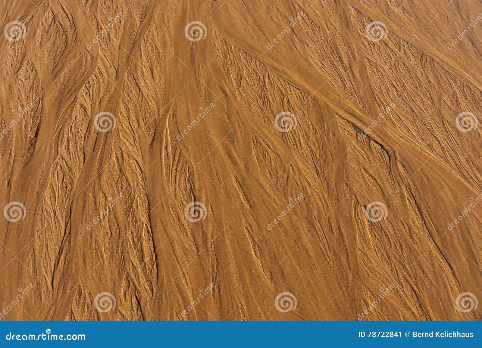 Ripple Textures in the Sand on a Beach Stock Image - Image of nature ...