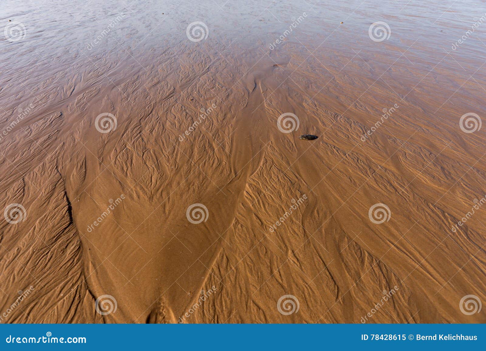 Ripple Textures in the Sand on a Beach Stock Image - Image of grainy ...