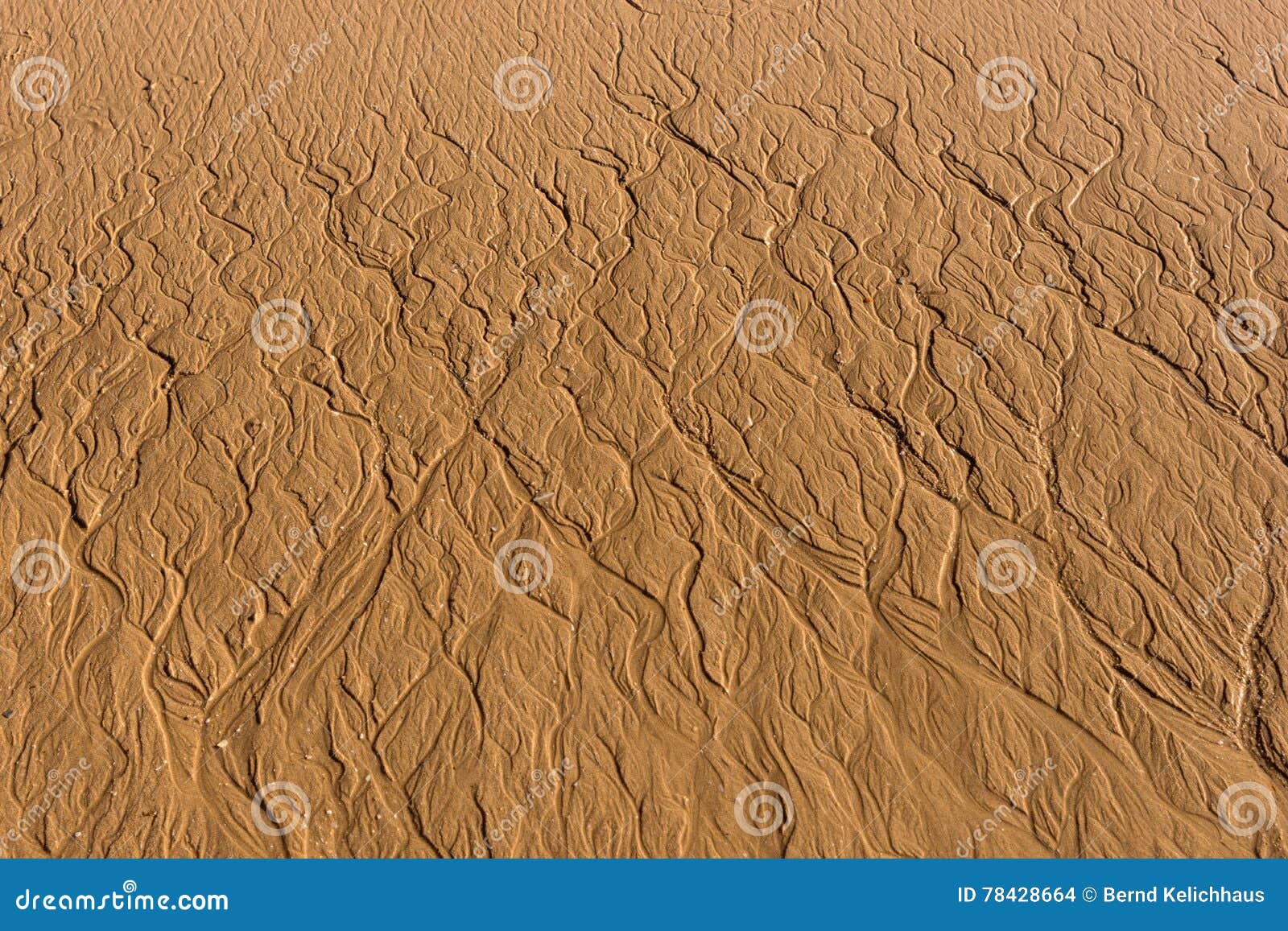 Ripple Textures in the Sand on a Beach Stock Photo - Image of textured ...