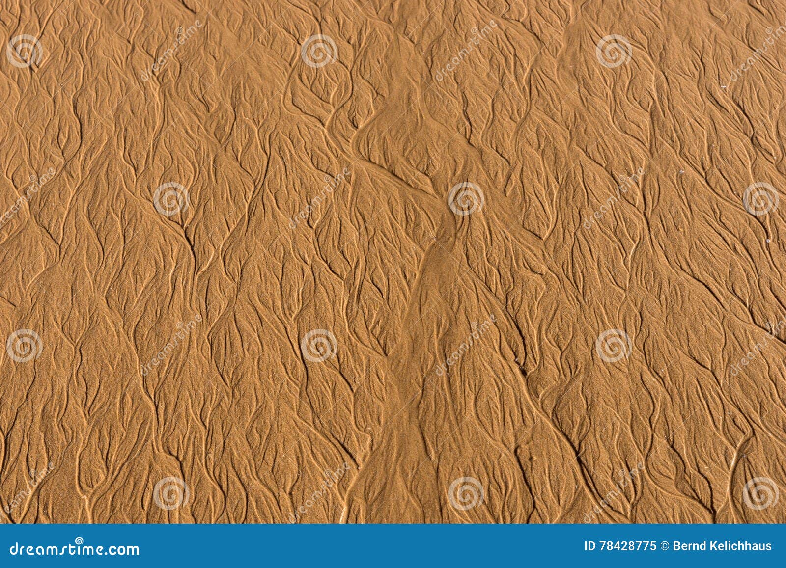 Ripple Textures in the Sand on a Beach Stock Image - Image of fresh ...