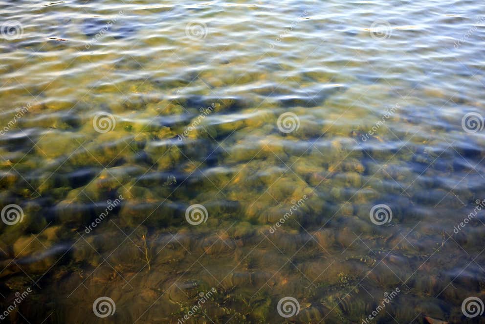 Ripple on water stock photo. Image of pellucid, wave - 12720590