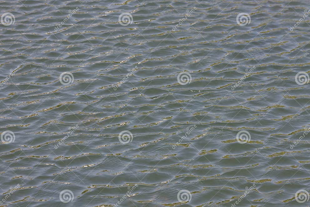 Ripple of water stock image. Image of nature, aqua, rippled - 33685219