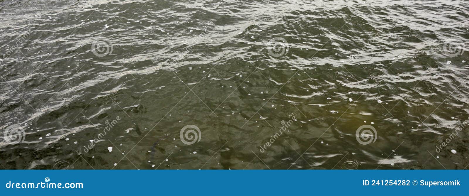 Ripple on the Water Surface Stock Photo - Image of liquid, abstract ...
