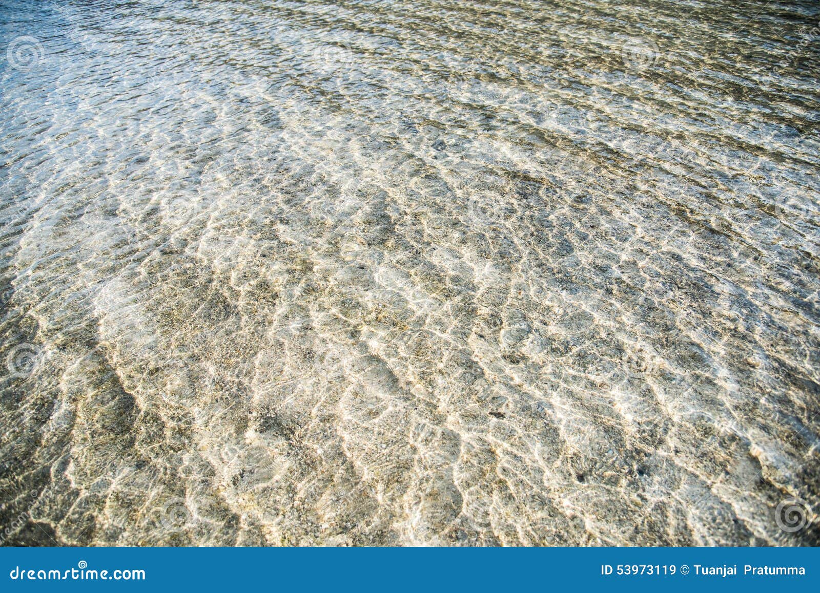Ripple water wave stock image. Image of clear, surface - 53973119
