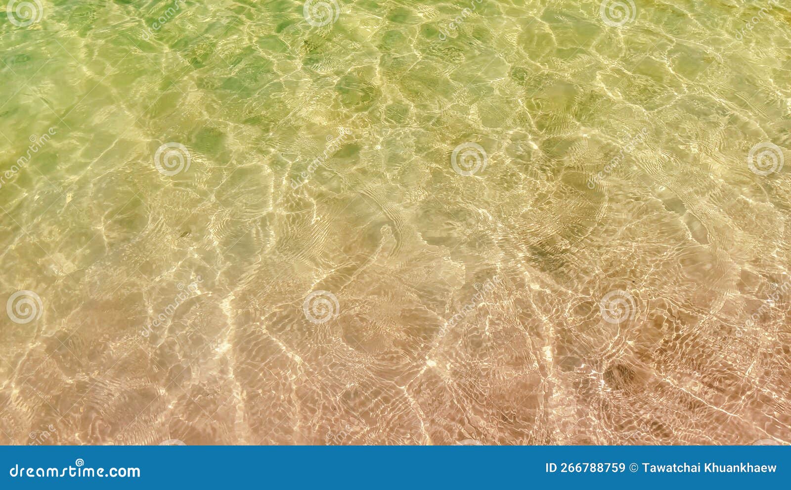 Ripple Water Yellow in Swimming Pool with Sun Reflection Stock Image ...