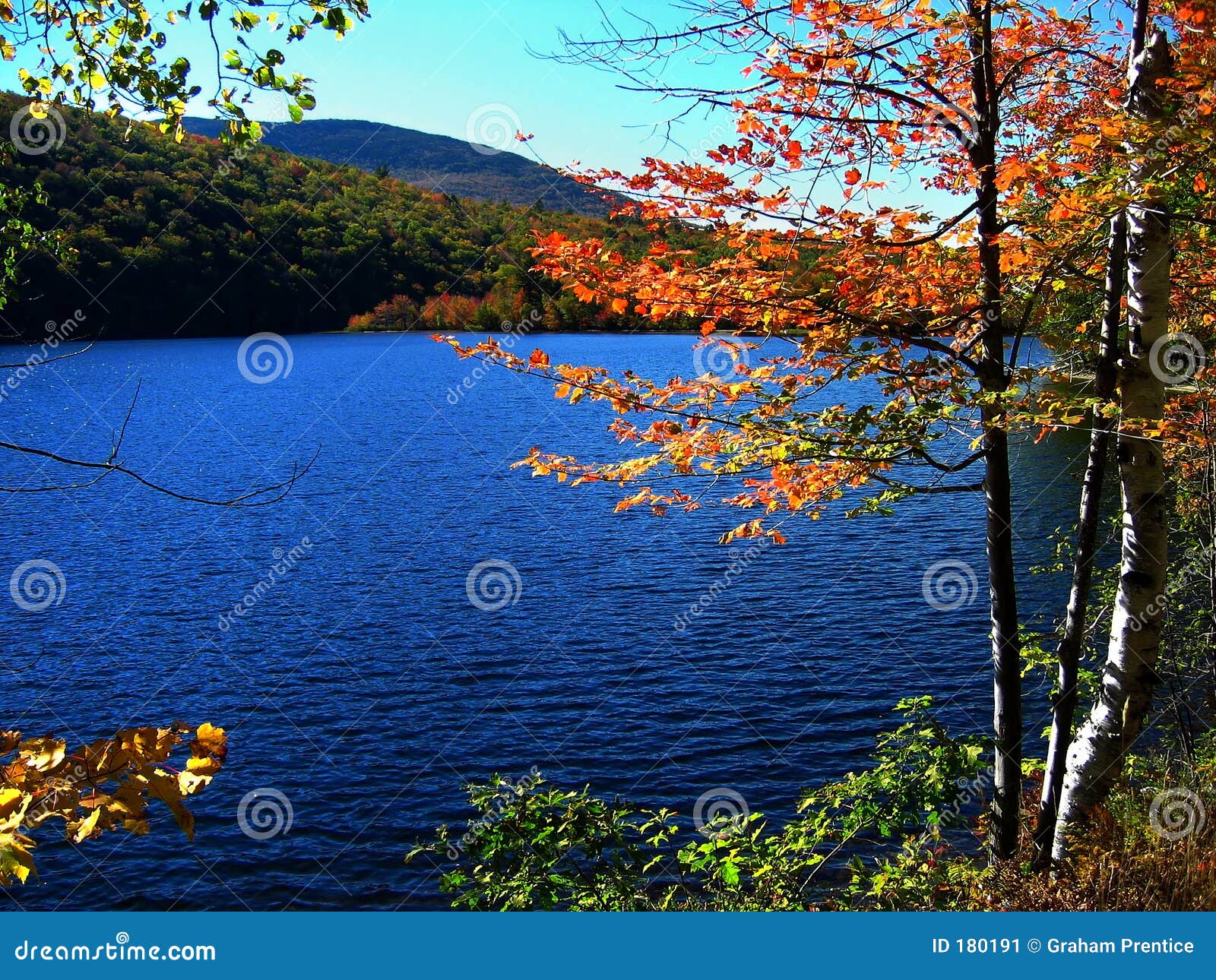 Rippled Lake in Fall stock image. Image of green, rippled - 180191