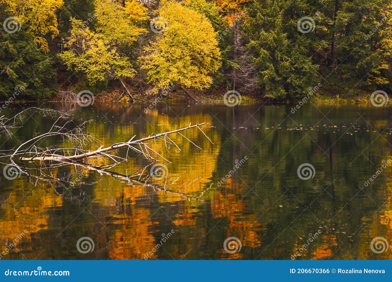 Rippled mirror effect stock photo. Image of colorful - 206670366