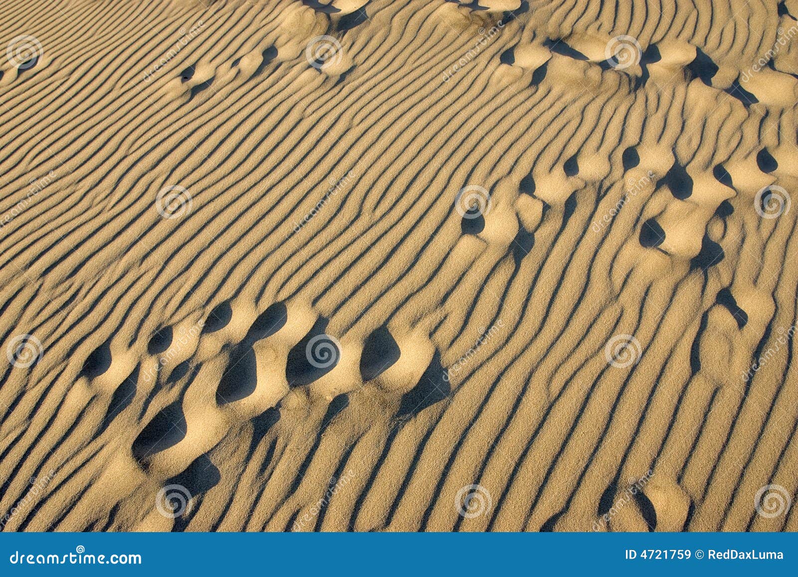 Rippled sand 1 stock image. Image of monochromatic, texture - 4721759