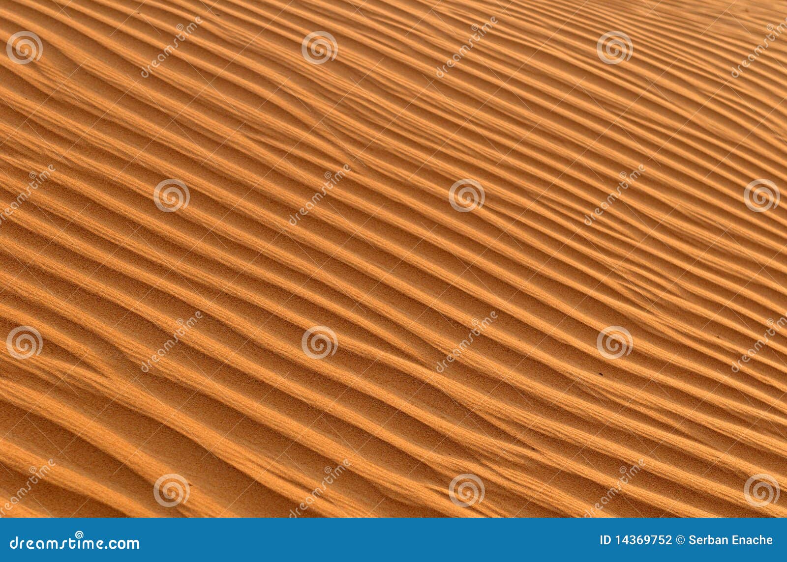 Rippled Sand Dunes At The Donnelly River Mouth Beach At Pemberton Stock ...