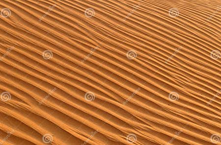 Rippled sand stock photo. Image of outdoors, sandy, pattern - 14369752
