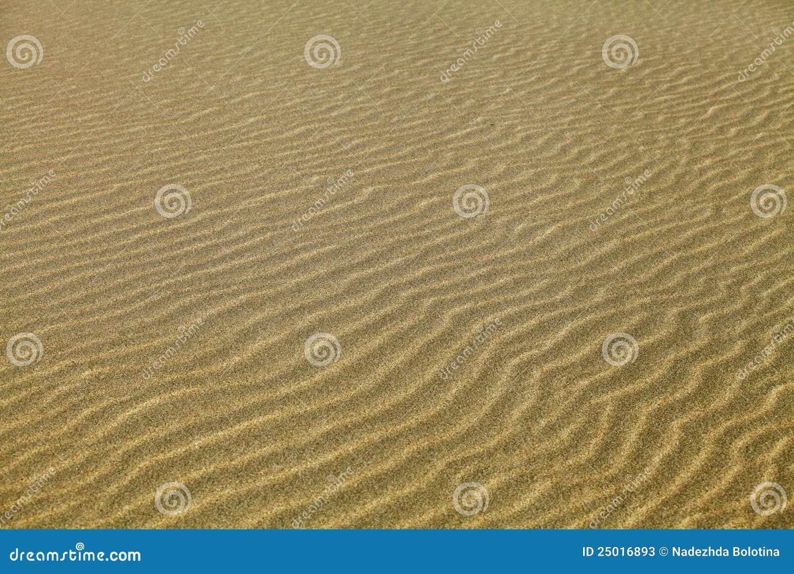 Rippled sand stock image. Image of nature, global, backgrounds - 25016893