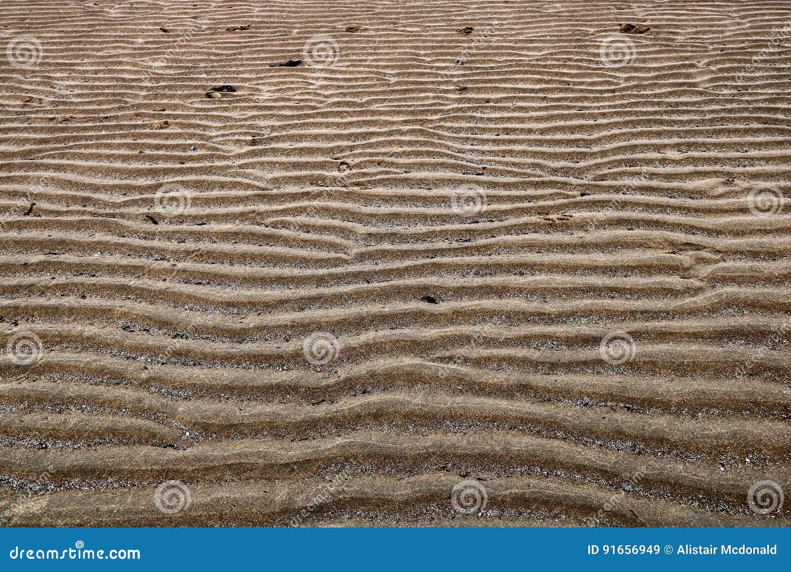 Rippled Sand on Coastal Beach Stock Image - Image of sand, grains: 91656949