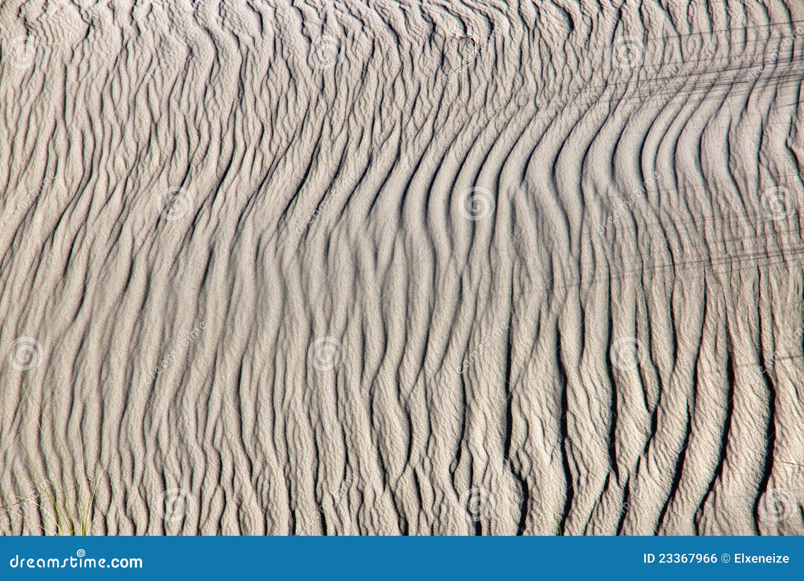 A rippled sand dune stock photo. Image of desert, ocean - 23367966