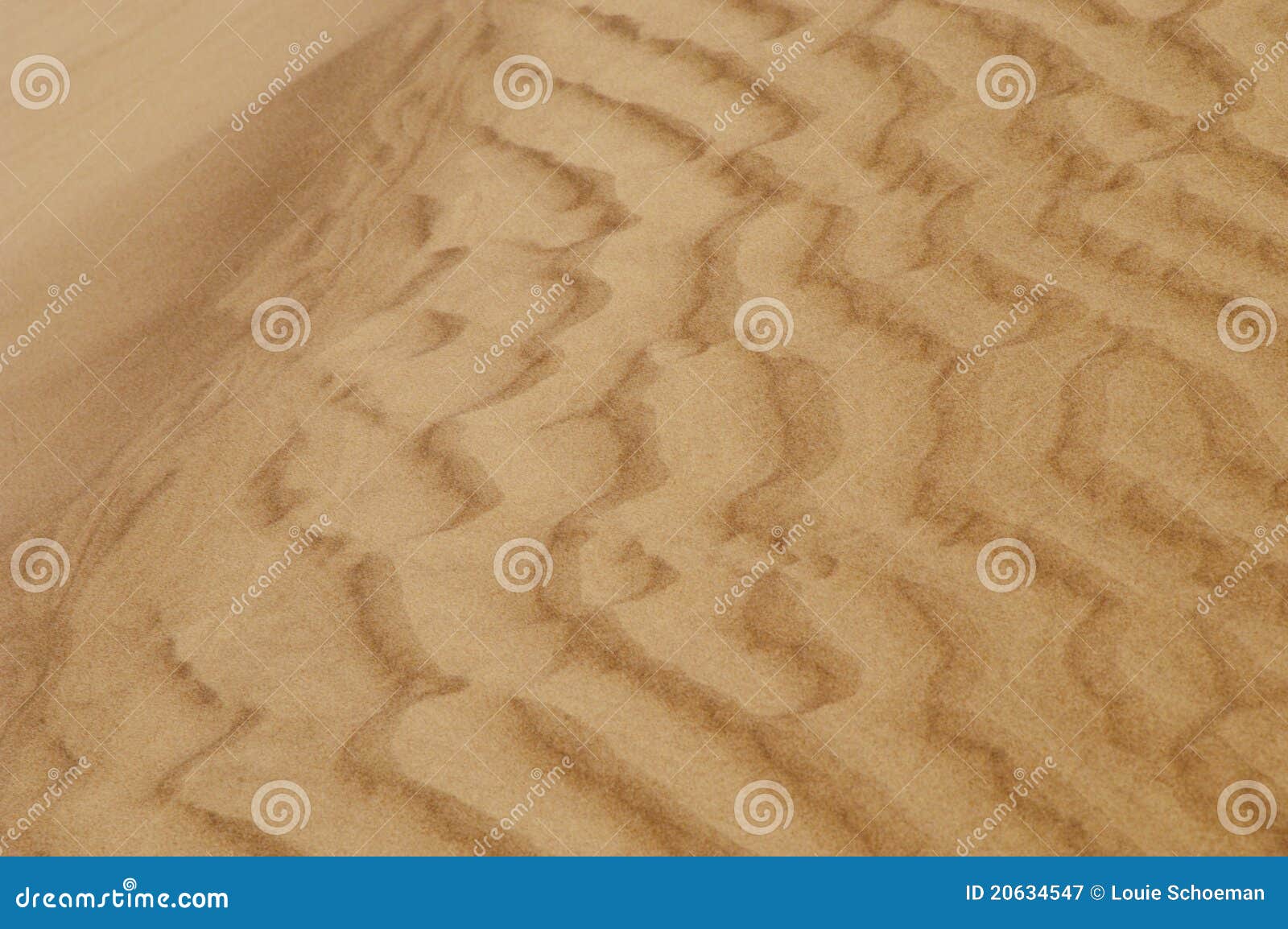 Rippled sand dunes stock image. Image of ridges, ripples - 20634547