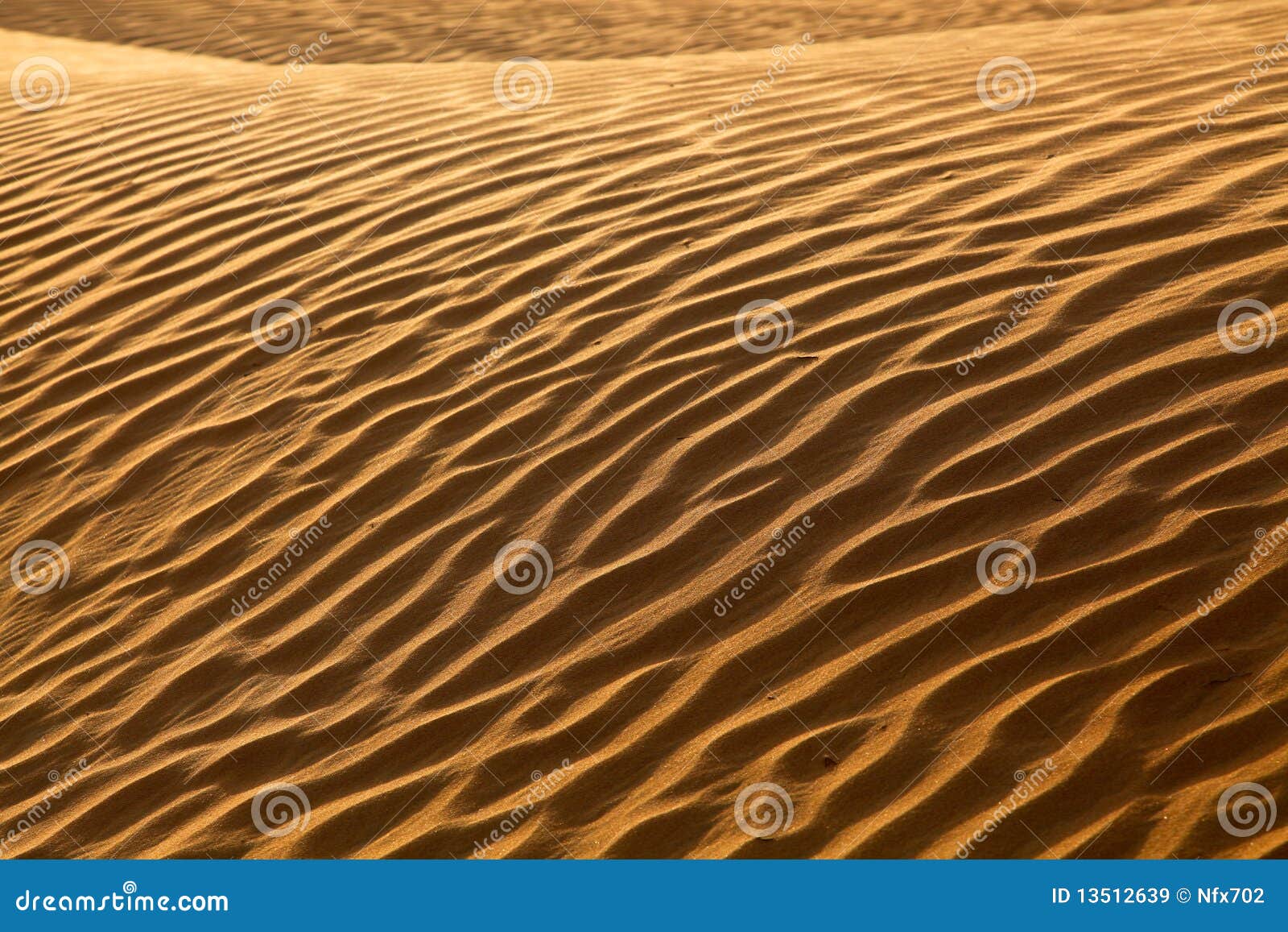 Rippled Sand Waves in the Desert Stock Image - Image of terrain ...