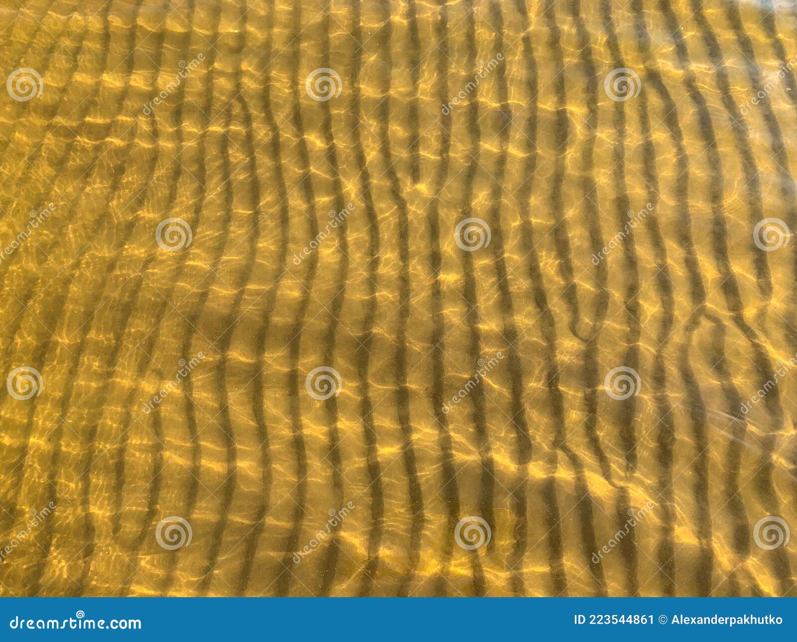 The Rippled Sandy Seabed in a Shallow Bay Under the Sun S Rays Creates ...