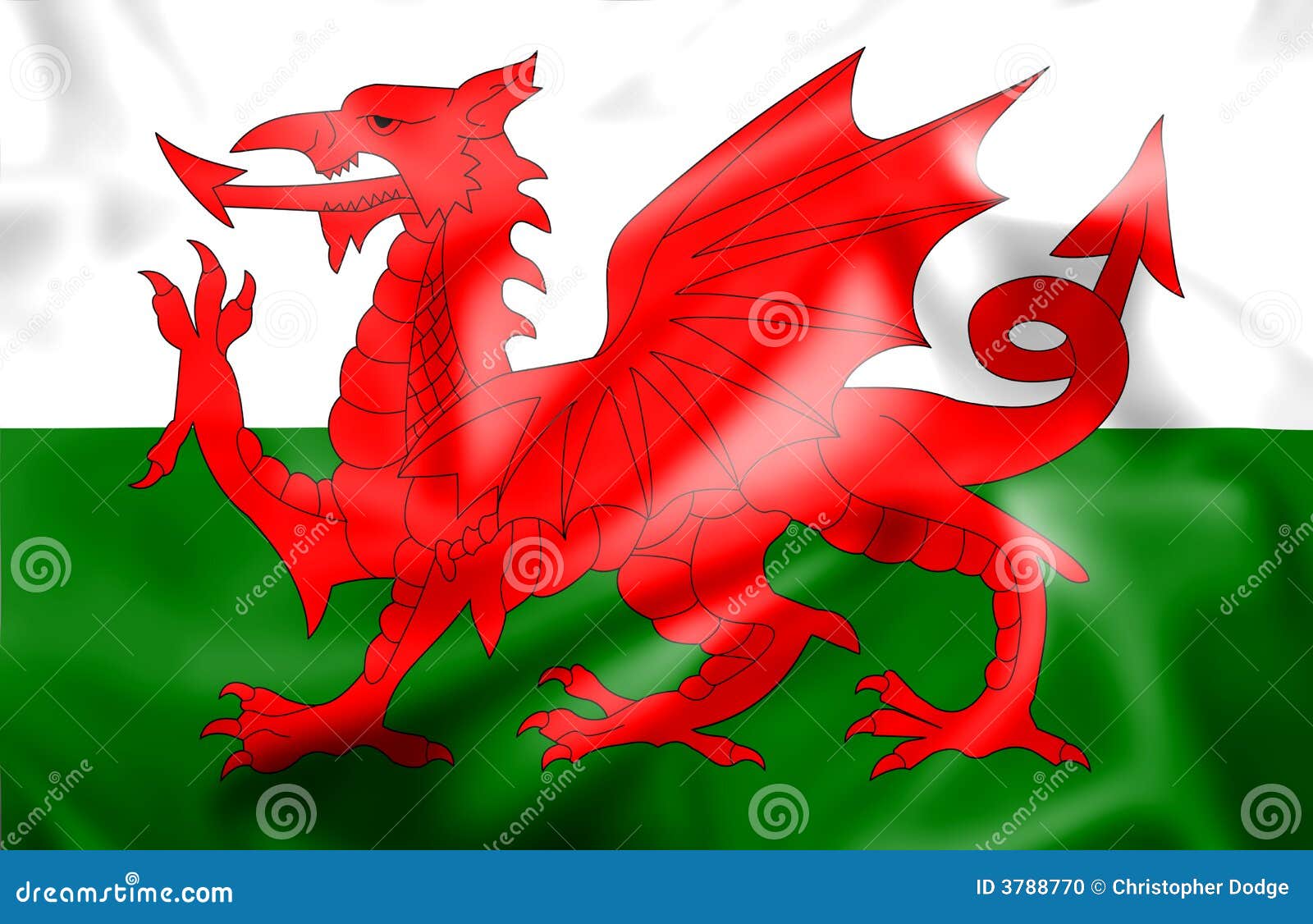 Welsh Flag - Flag Of Wales Stock Image | CartoonDealer.com #229283023