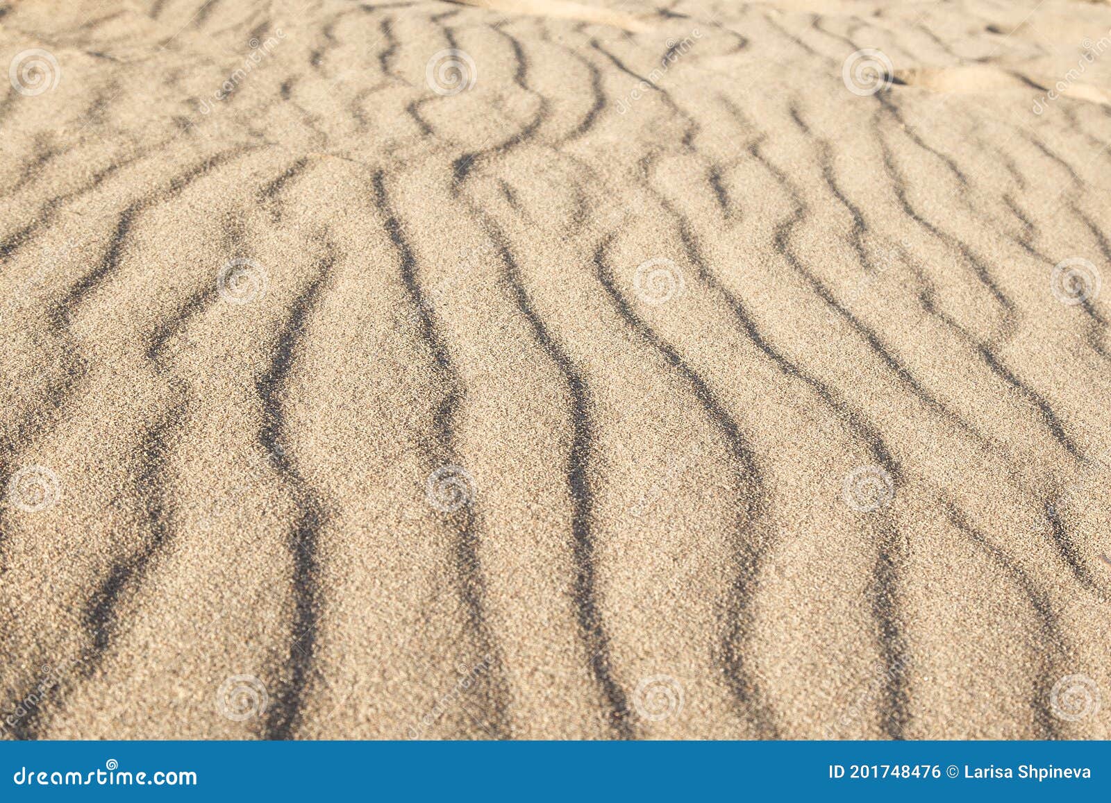 Rippled Small Sand on Sea Coast. Dunes on Beach Formed by Wind and ...