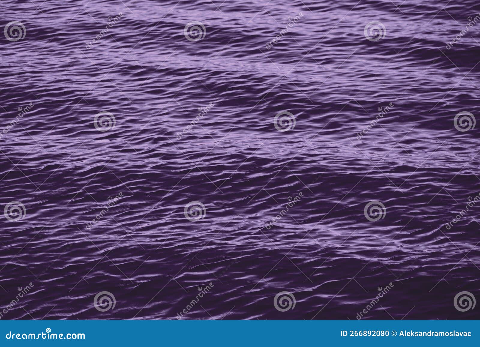 The Rippled Surface of the Turbulent Wavy Sea in Purple Color Stock ...