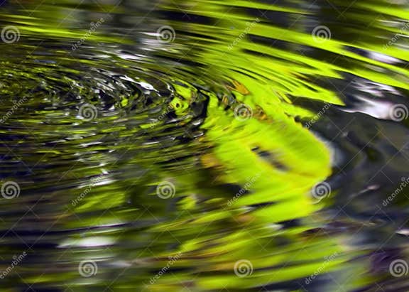 Ripples stock photo. Image of reflections, abstract, rings - 16425256