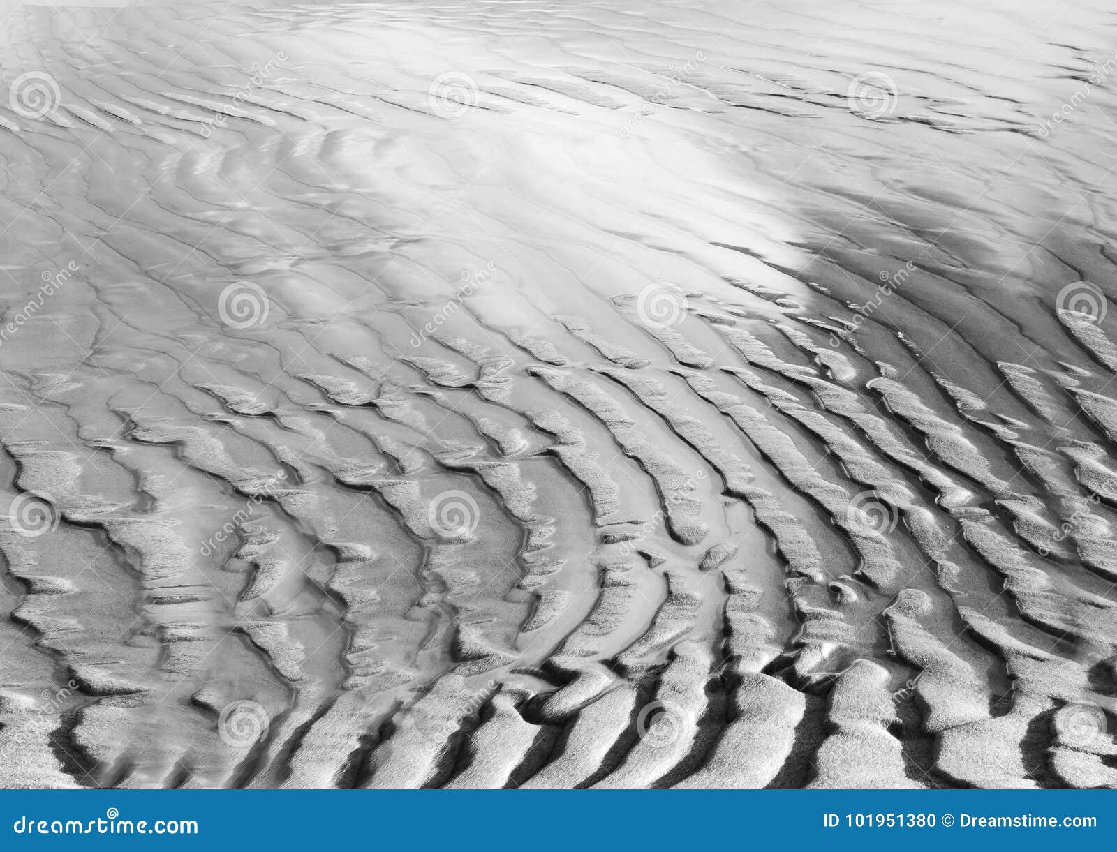 Ripples in the beach sand stock photo. Image of landscape - 101951380