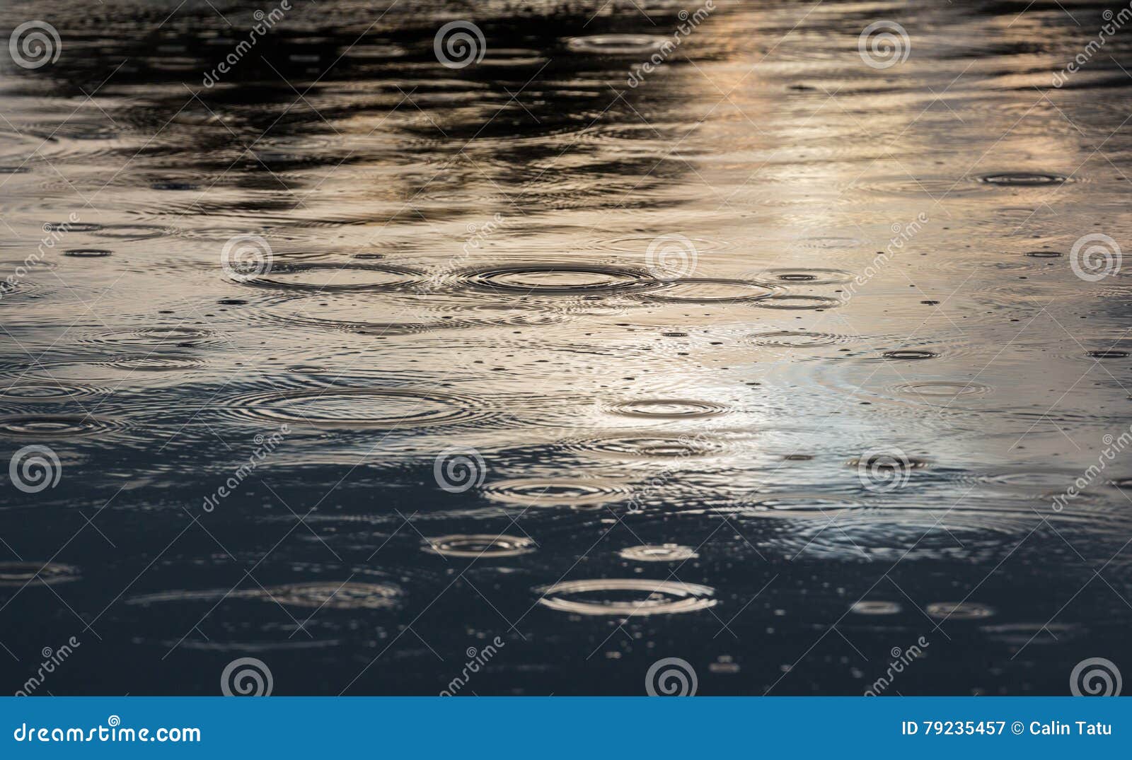 Ripples Created by Falling Rain in a Wild River Stock Image - Image of ...