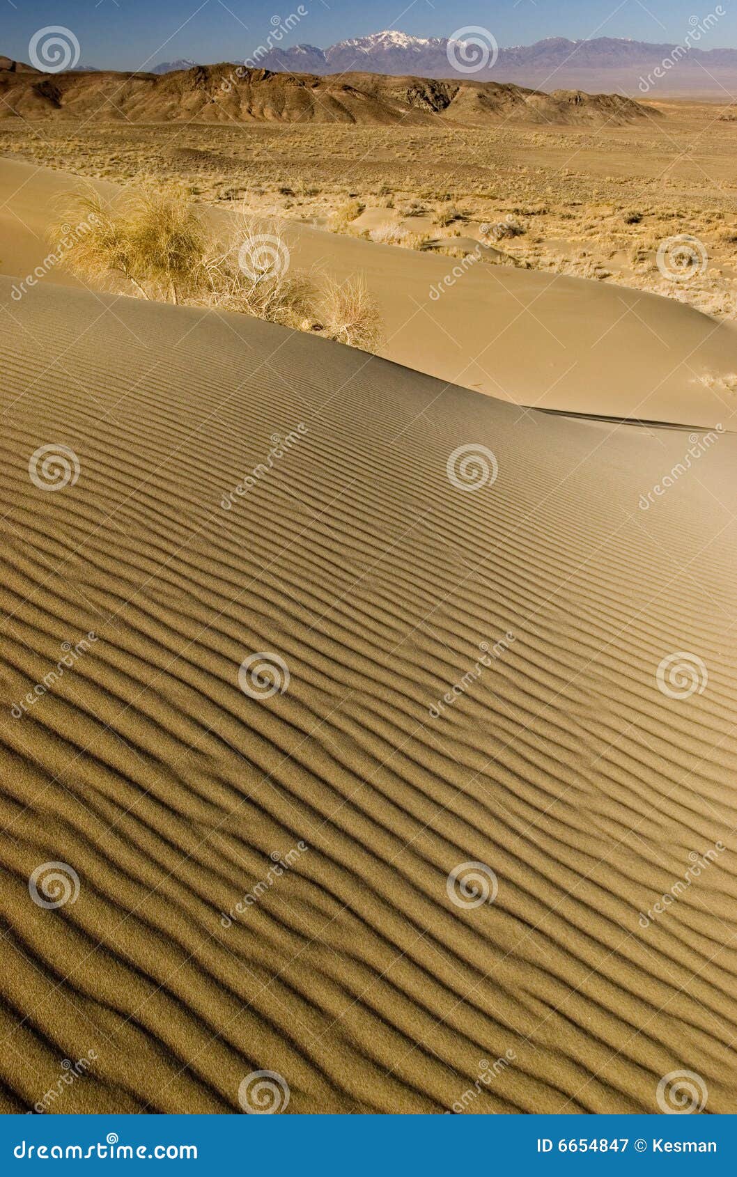 Ripples on Desert Sand Dunes Stock Image - Image of outside, relief ...