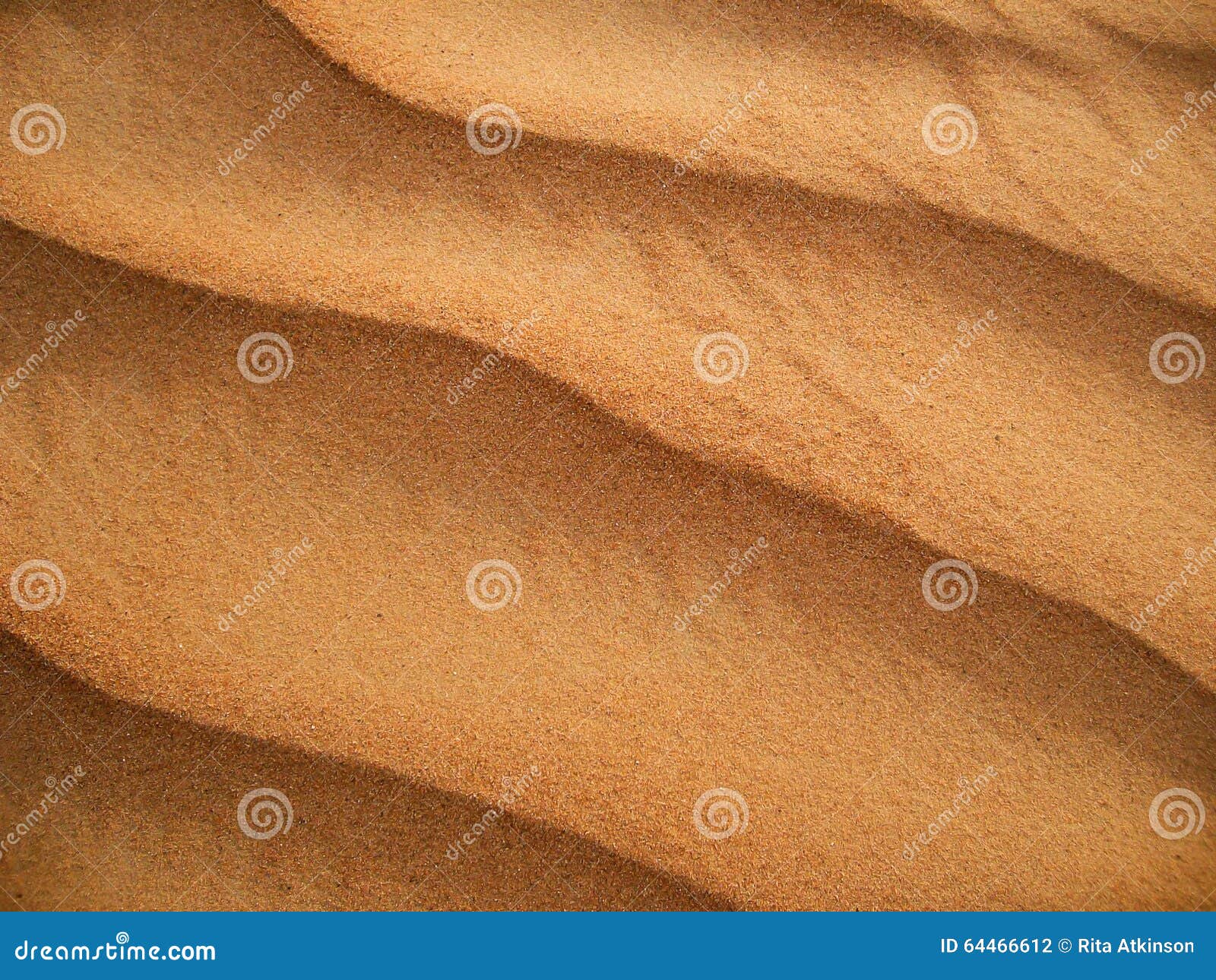 Ripples in desert sand stock photo. Image of waves, diagonal - 64466612