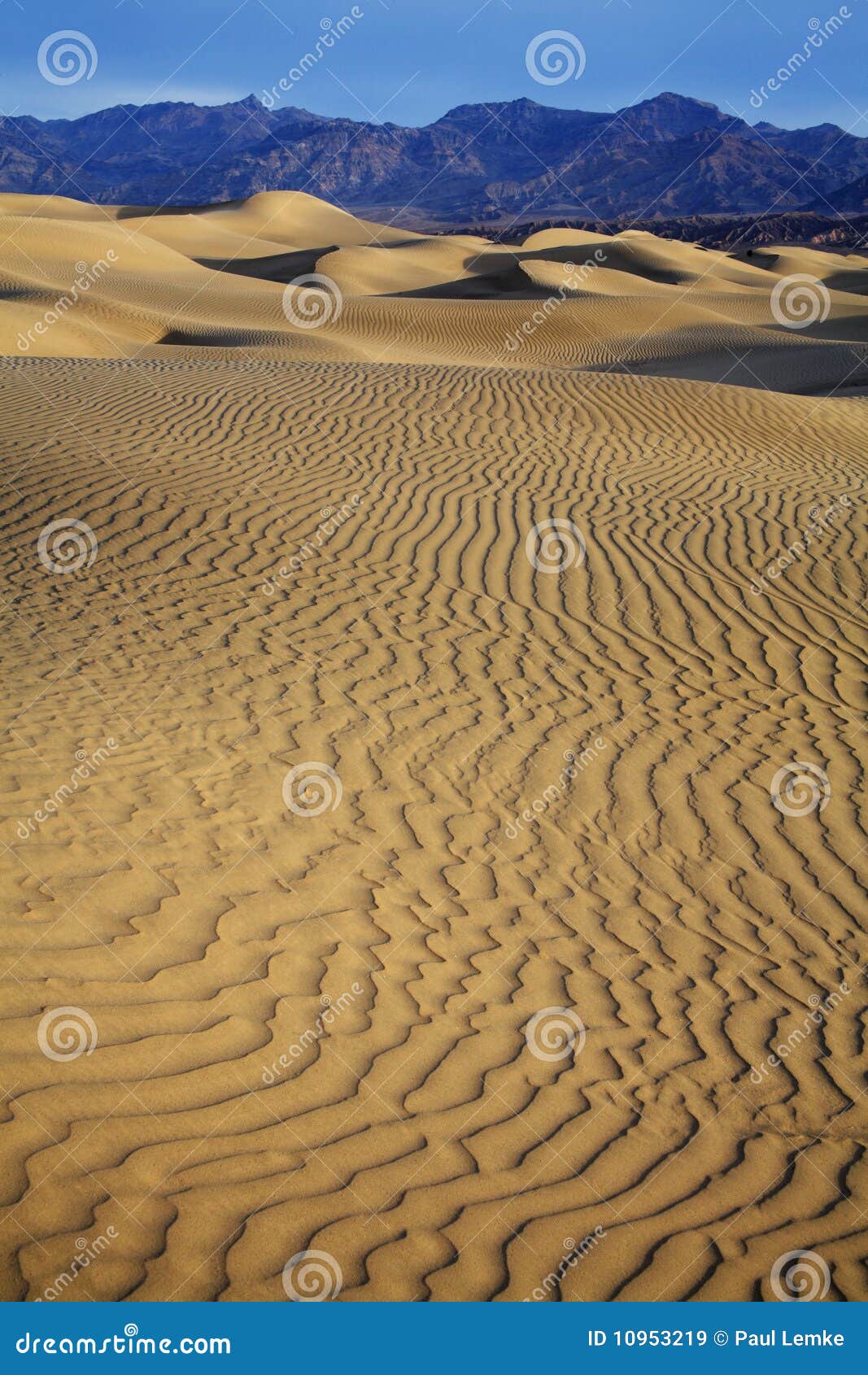 Ripples, Dunes and Mountains Stock Image - Image of peace, dark: 10953219