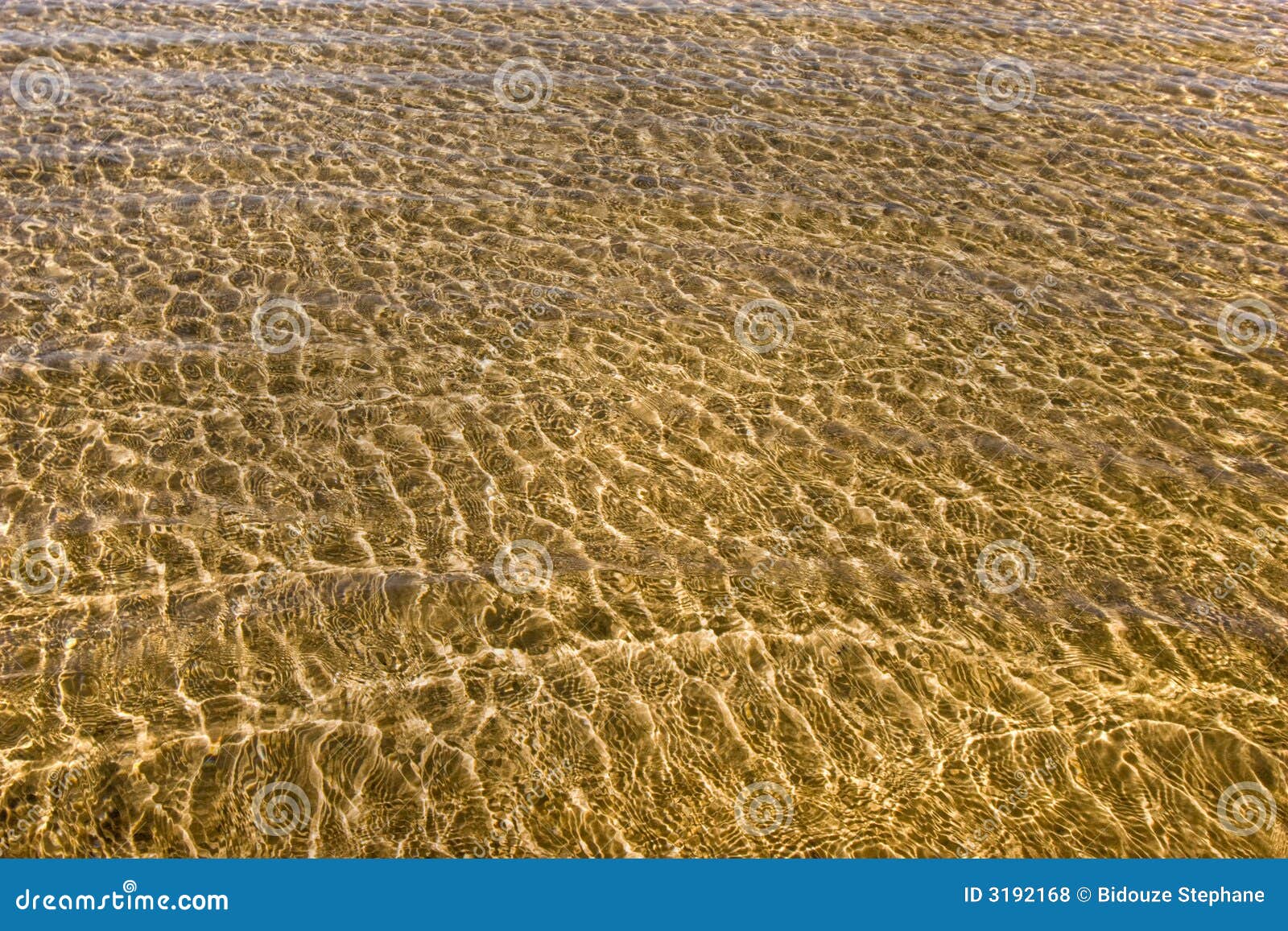 Ripples on gold ocean stock photo. Image of water, background - 3192168