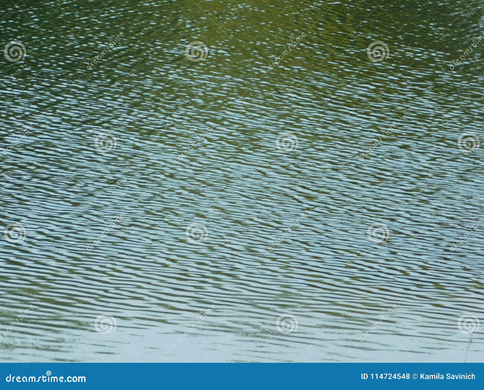 Ripples on the Lake Under the Sun Stock Photo - Image of grassunder ...