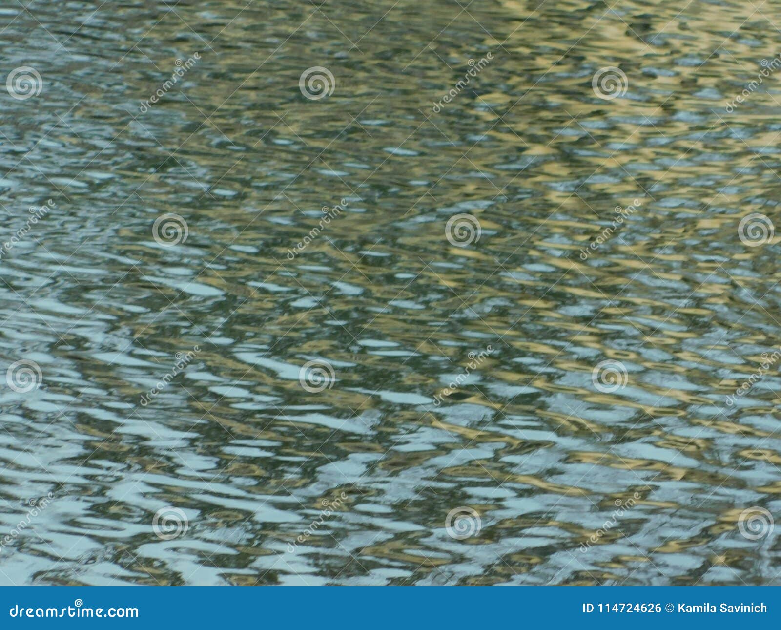Ripples on the Lake Under the Sun Stock Photo - Image of dandelions ...