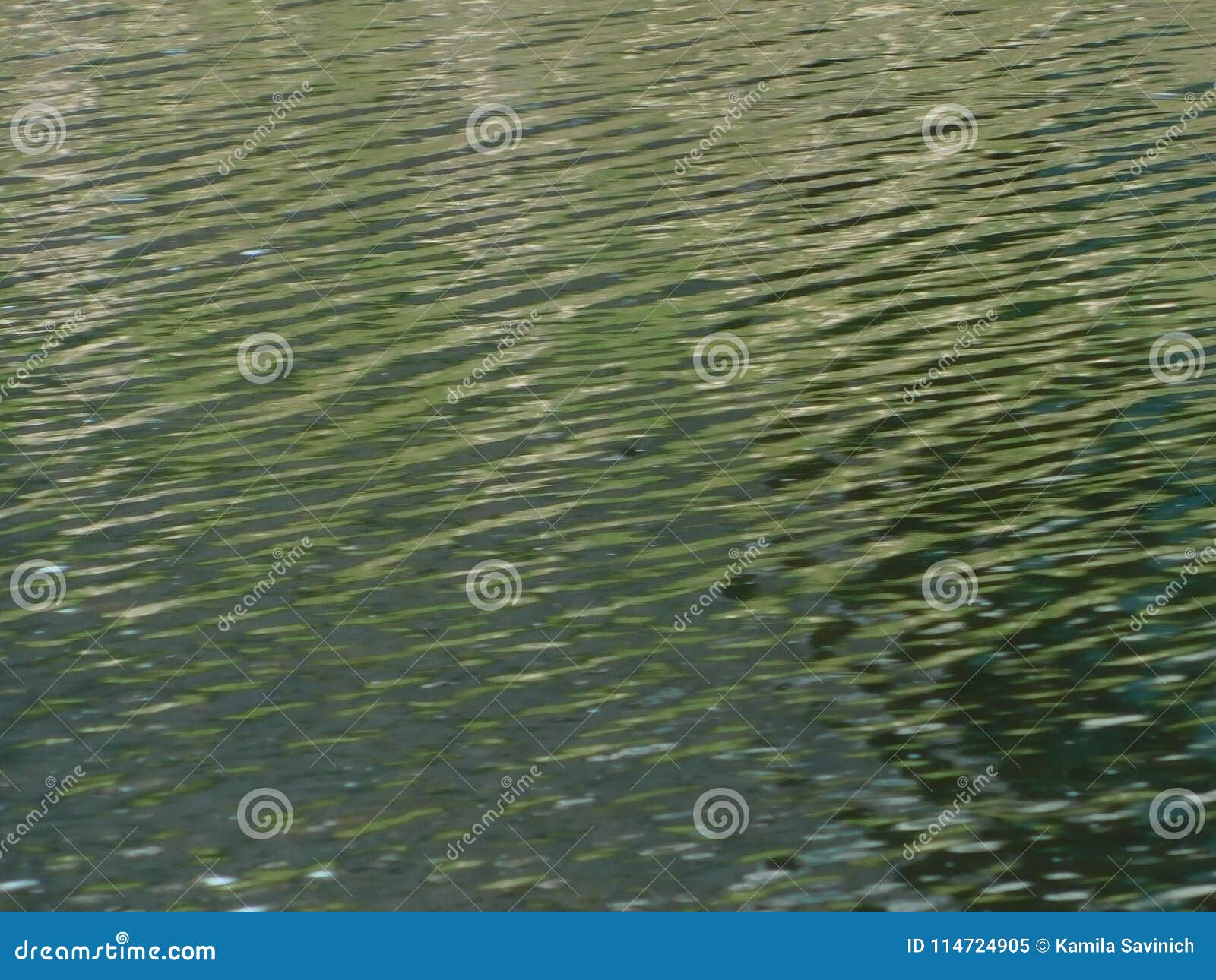Ripples on the Lake Under the Sun Stock Image - Image of blossoms ...