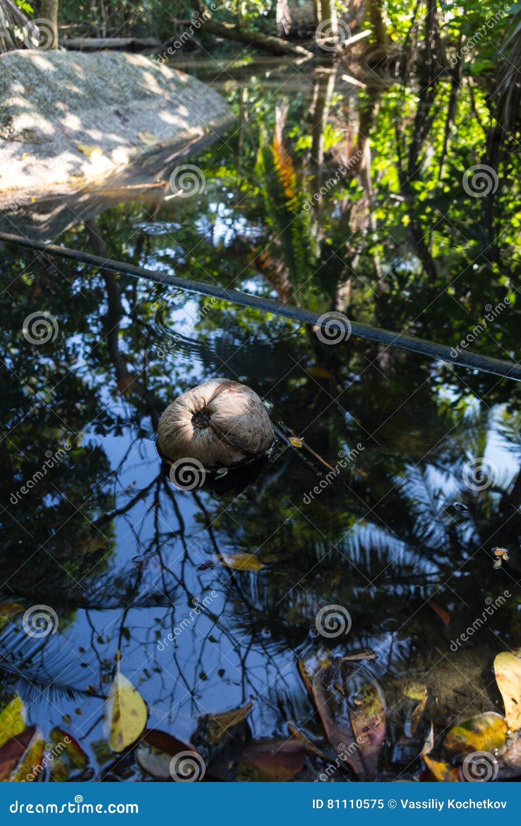 Ripples in the pond stock image. Image of outdoors, river - 81110575