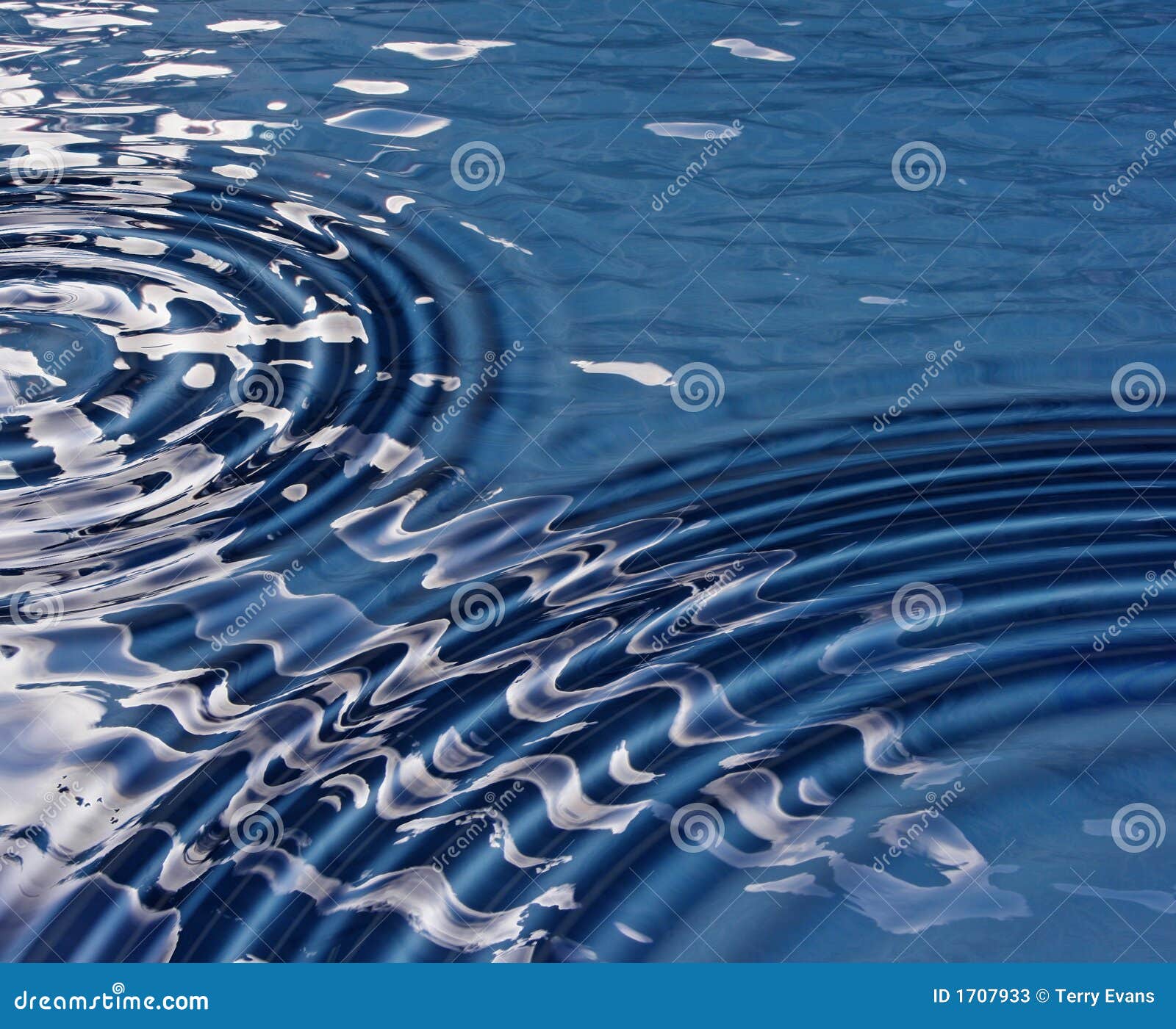 Ripples in a pool stock image. Image of beauty, quiet - 1707933