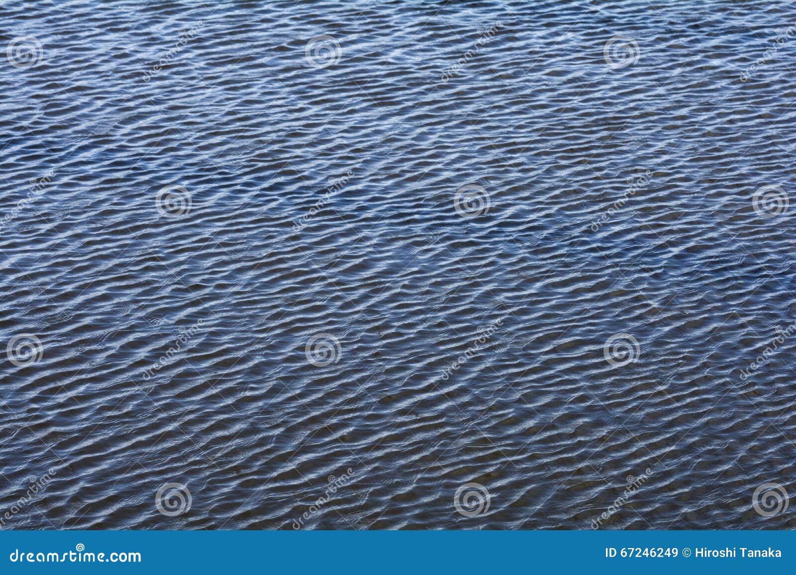 Ripples in puddle stock image. Image of ripple, swamp - 67246249
