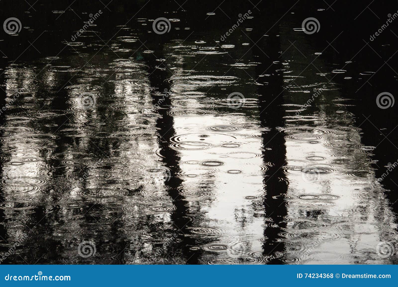 Ripples from the rain stock photo. Image of weather, dark - 74234368