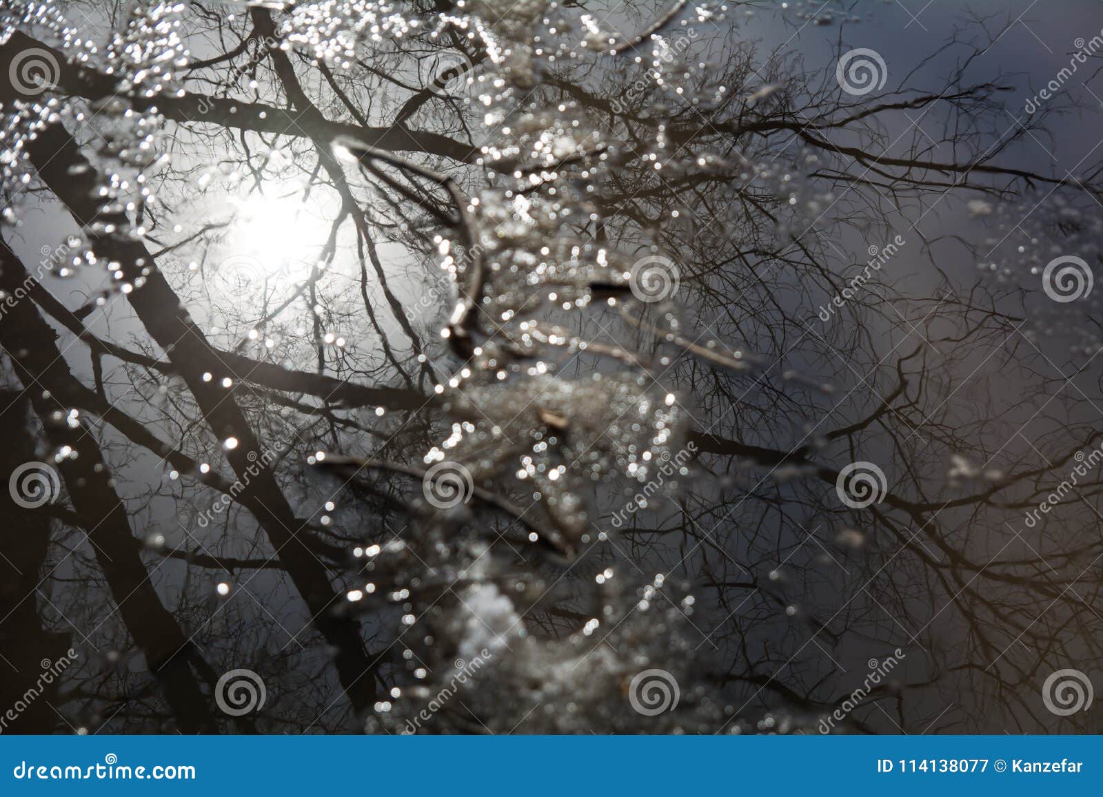 Ripples and Reflection of Spring Trees in a Puddle Stock Image - Image ...