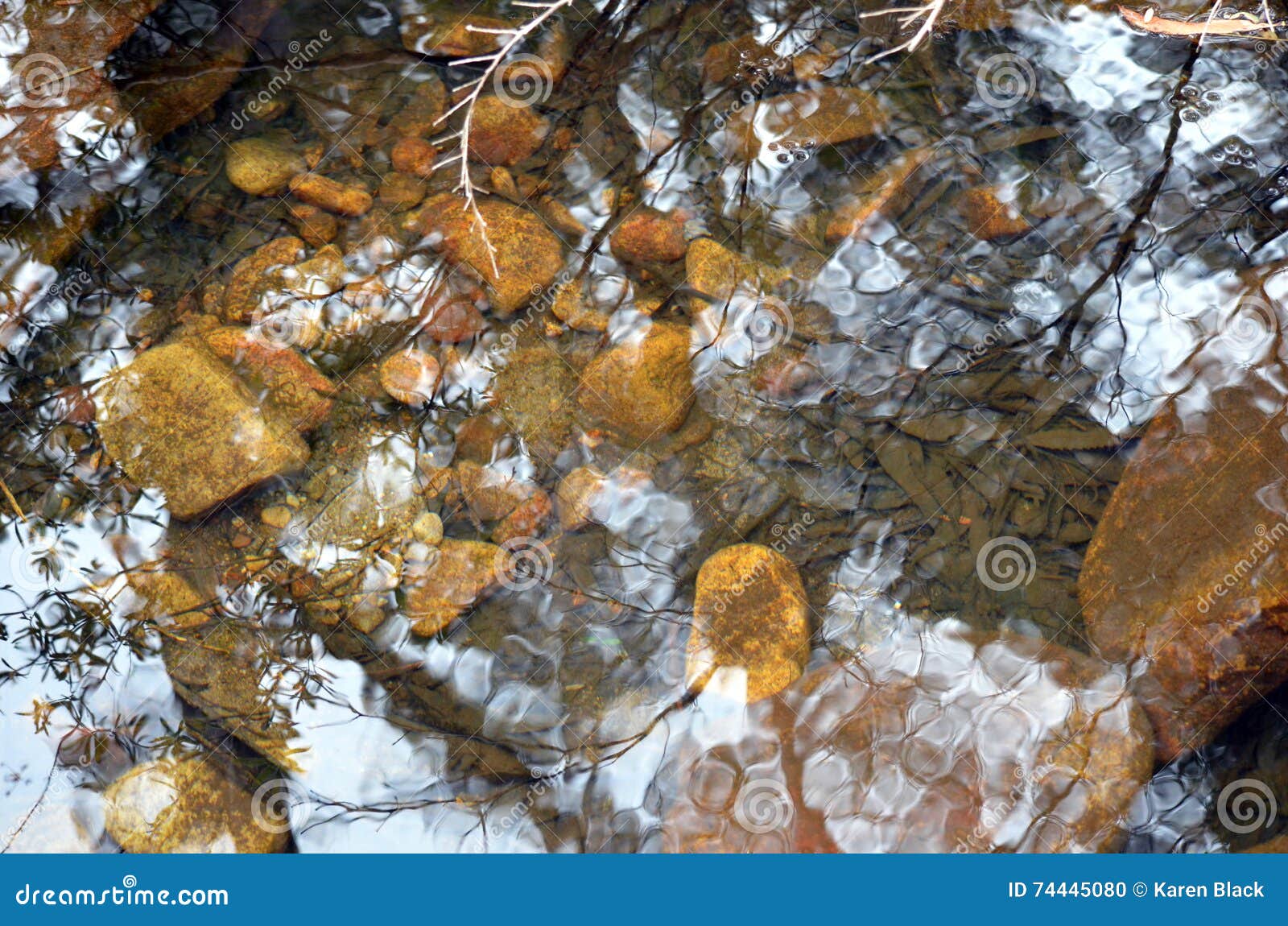 Ripples and Reflections in a Pebbly Pond Stock Photo - Image of ...
