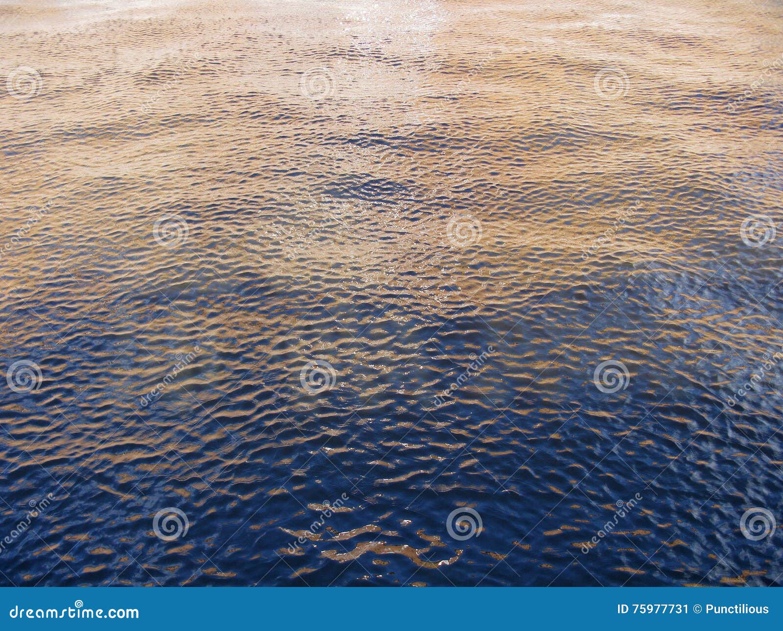 Ripples on the river stock image. Image of light, glow - 75977731