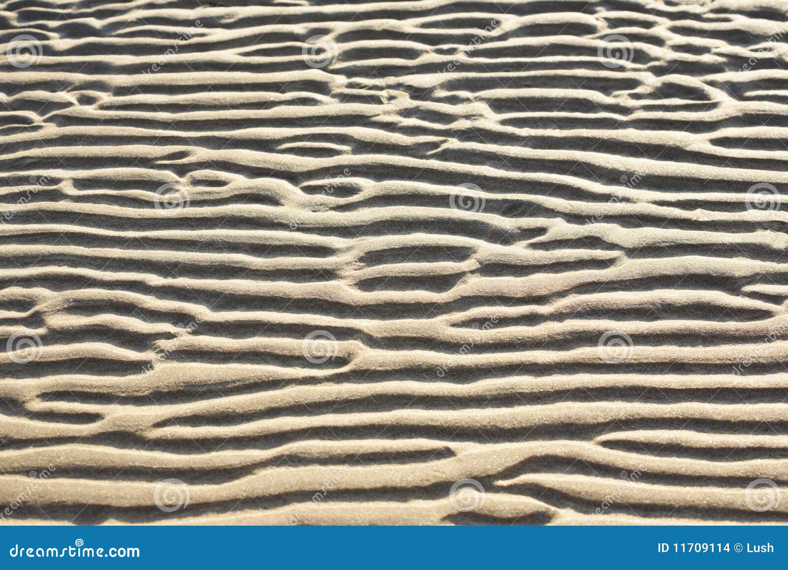 Ripples in the sand stock photo. Image of effect, light - 11709114