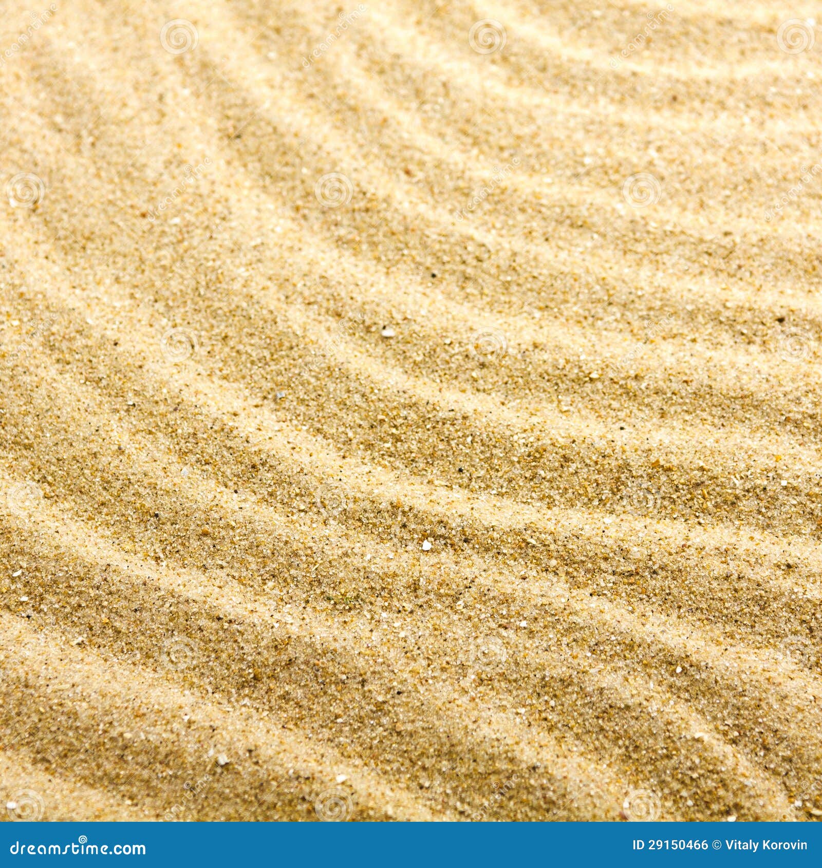 Ripples in sand stock photo. Image of textured, brown - 29150466