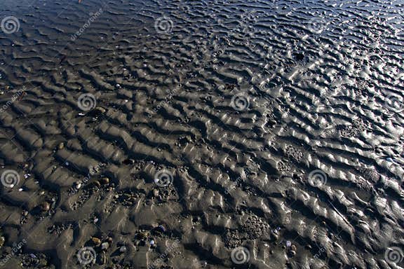 Ripples in the Sand on the Beach Stock Image - Image of nature, beach ...