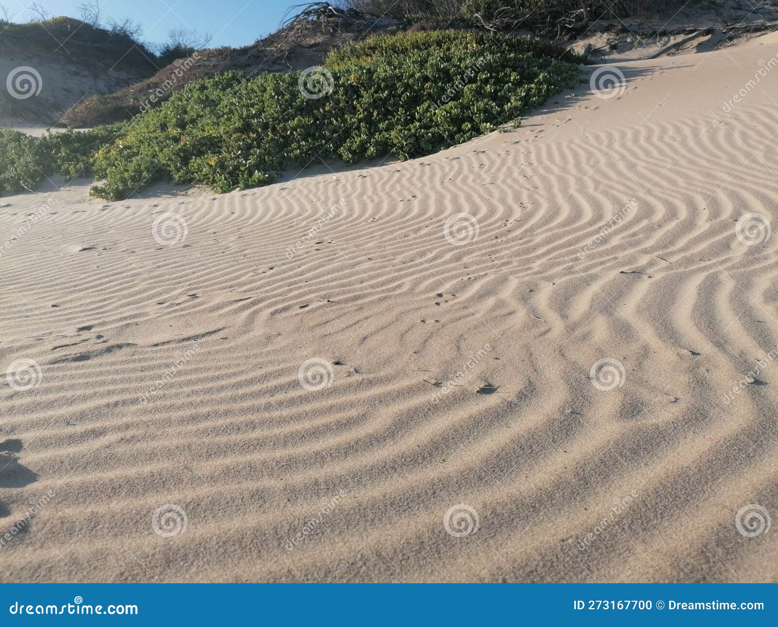Ripples in the Sand on Beach South Africa Stock Photo - Image of ...